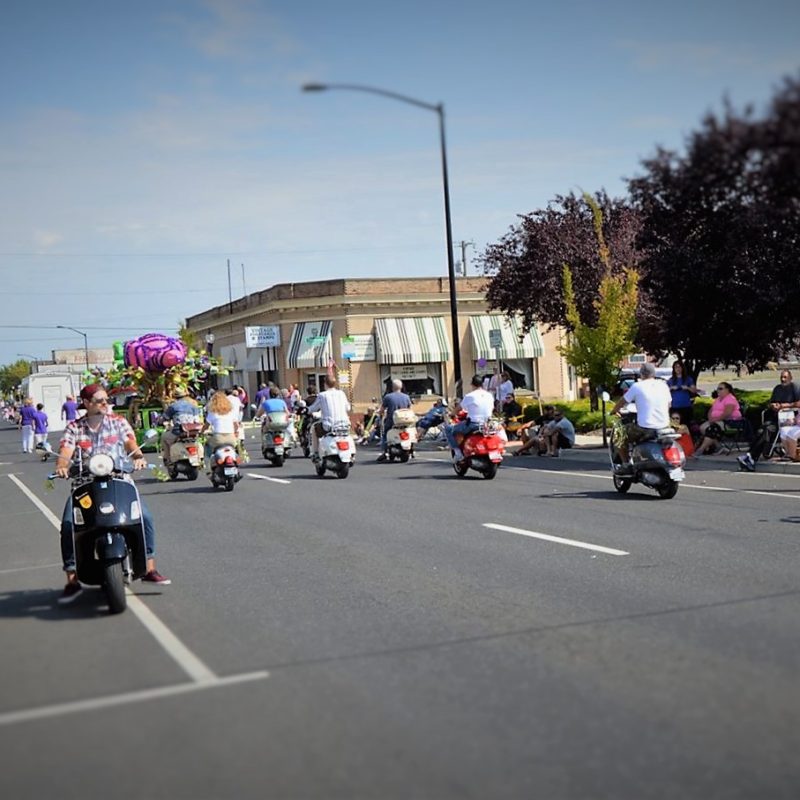 Photo Gallery – Hillyard Festival